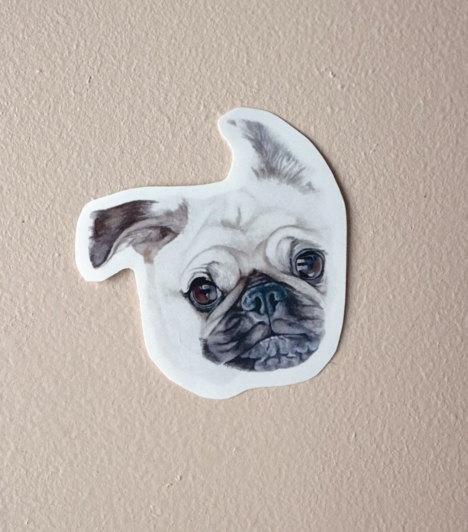 Morgan the Pug Sticker – Annalise Paints