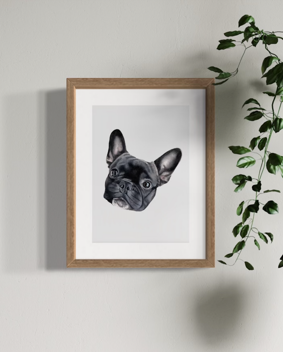Hank the Frenchie Print – Annalise Paints
