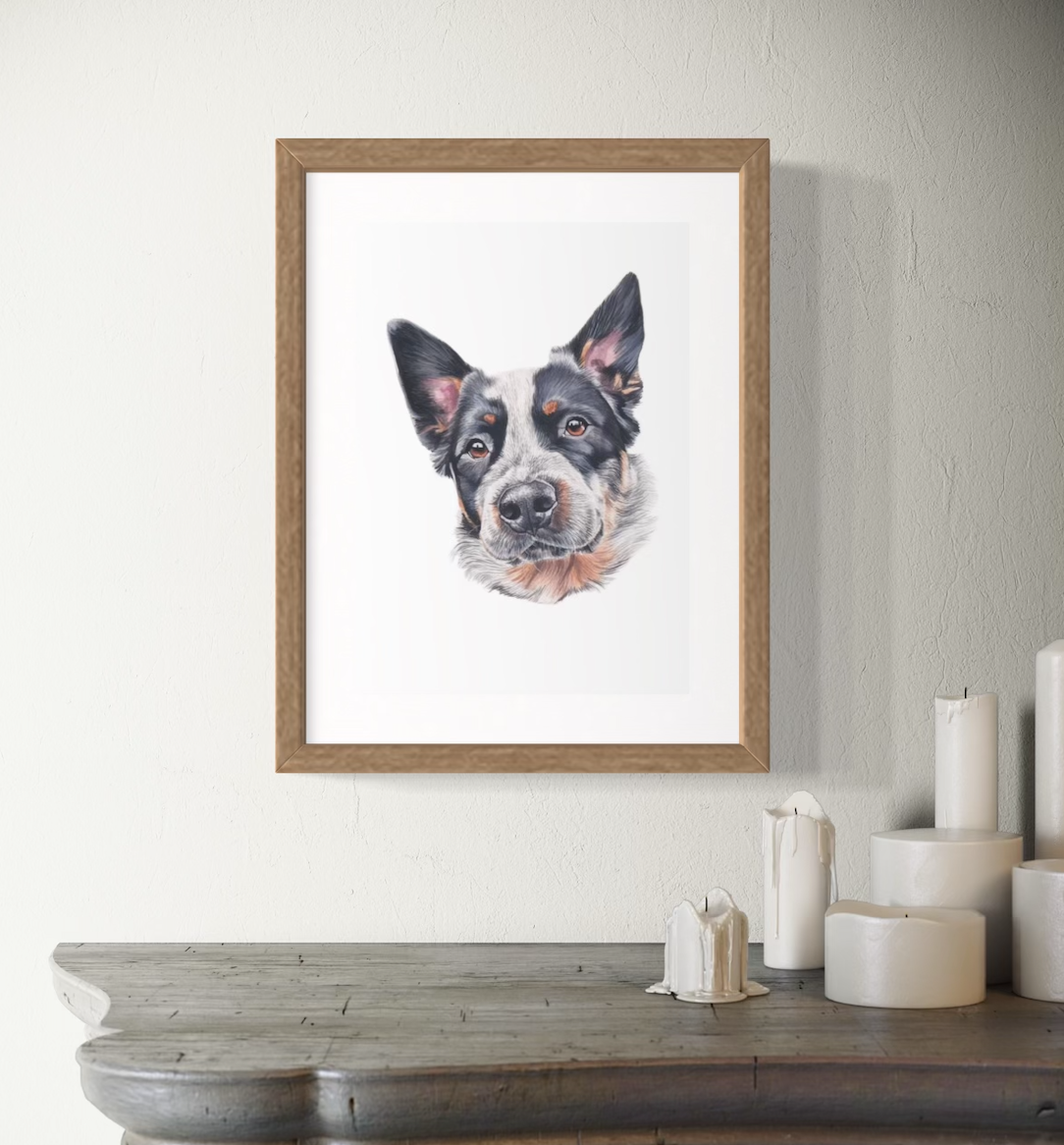 Neo the Blue Healer Print – Annalise Paints