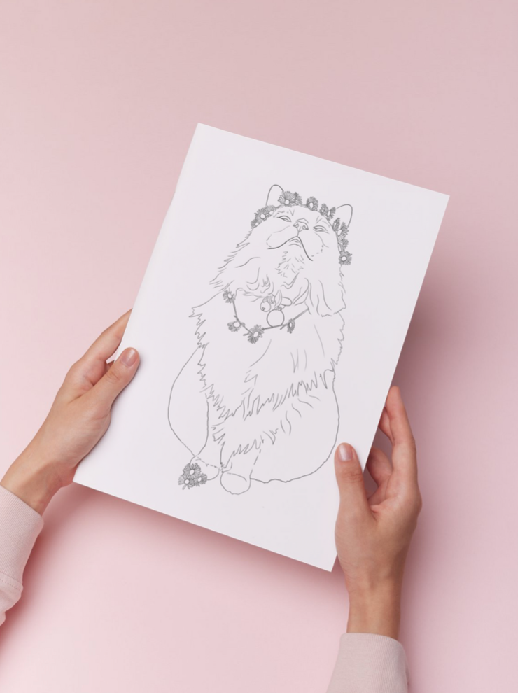 Custom Line Drawings – Annalise Paints